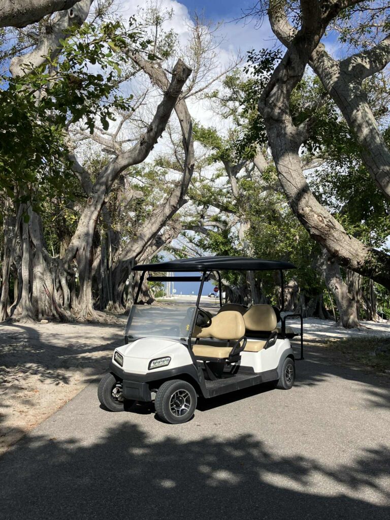 Best Golf Cart Rentals in Boca Grande | Caddy Carts of SWFL
